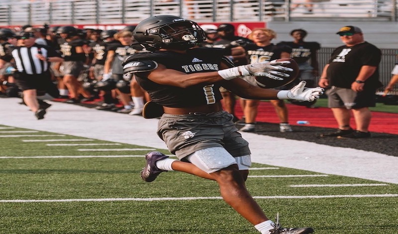 3 Pivotal Games This Fall for the Tigers – Presented by DC Olson ...